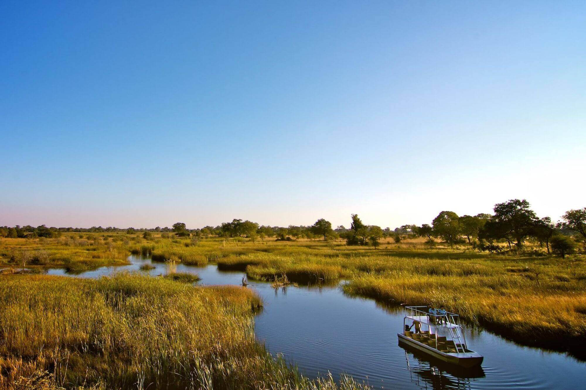 Caprivi-Zipfel Safari-Empfehlungen von lokalen Guides - Natouralist