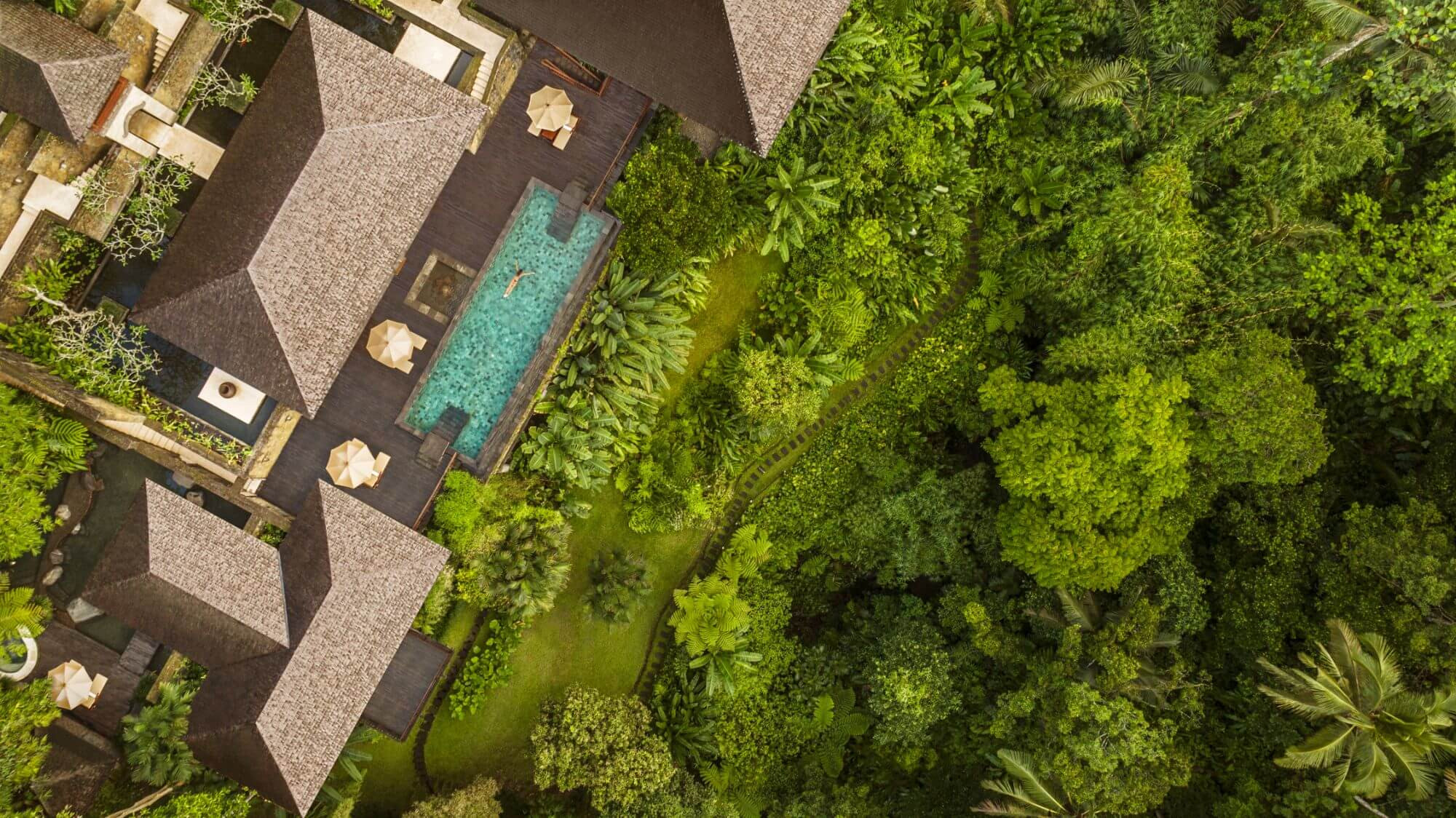 Bali Fotosafaris und Safari-Empfehlungen - Natouralist