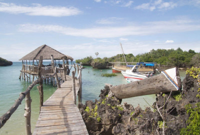 Tanga und Pangani Fotosafaris und Safari-Empfehlungen - Natouralist